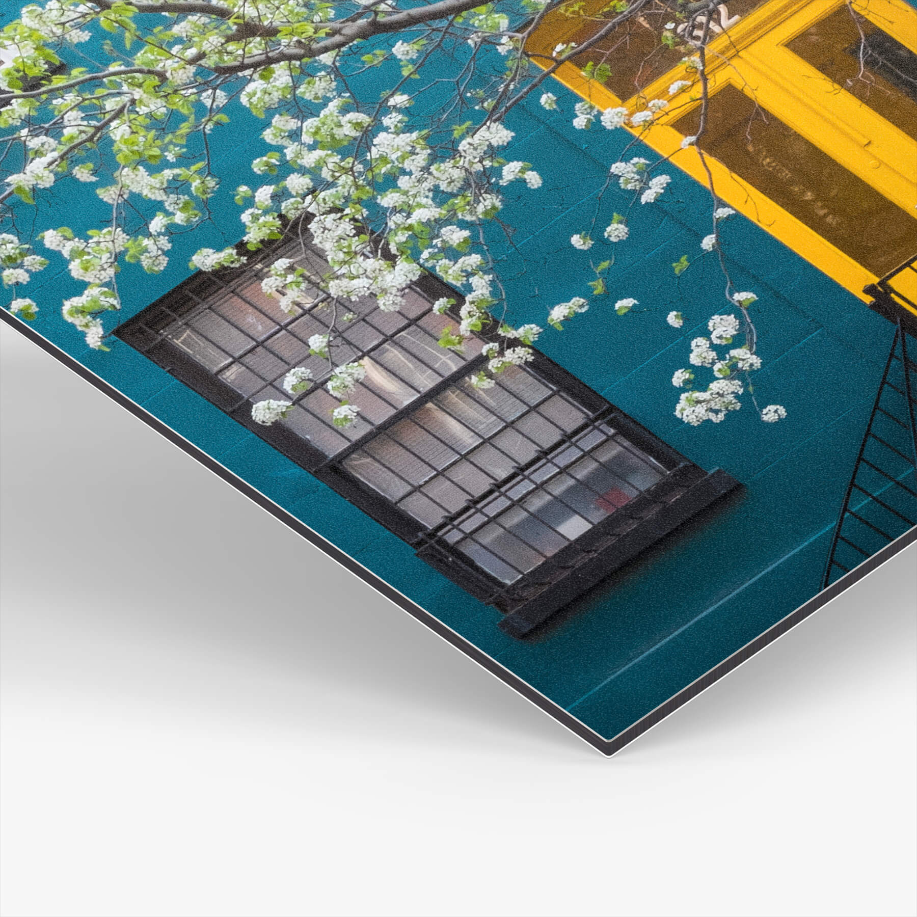 Display your photos on an elegant Aluminium Dibond in size 40 x 60 cm ...