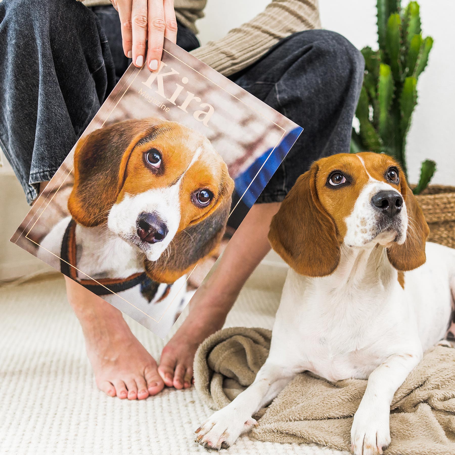 Create a magazine-style soft cover photo book with 120 pages | ifolor