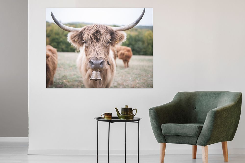 Photo highlights as wall pictures in XXL format | ifolor