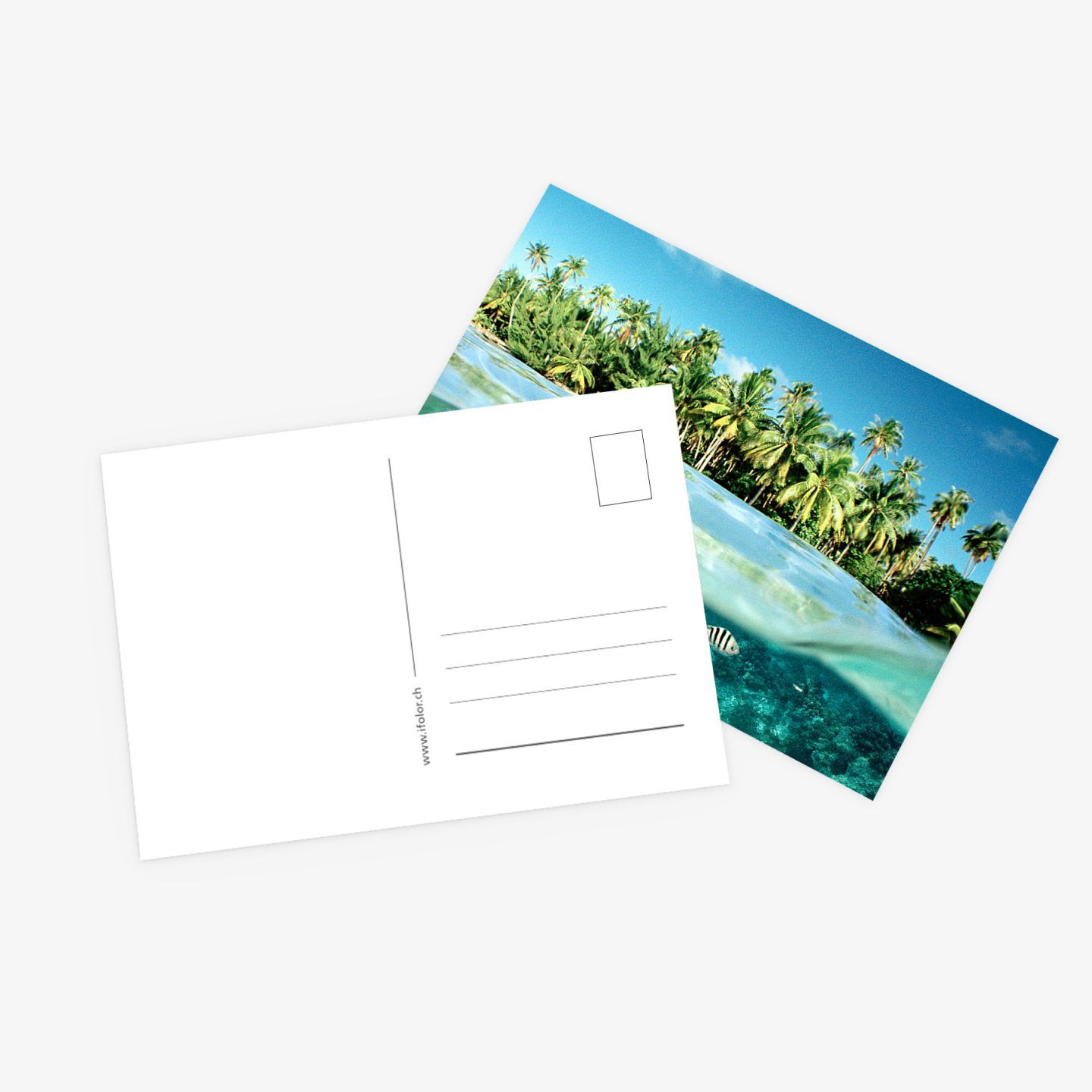 Postcard available in format 10.7x15 cm portrait design online and send ...